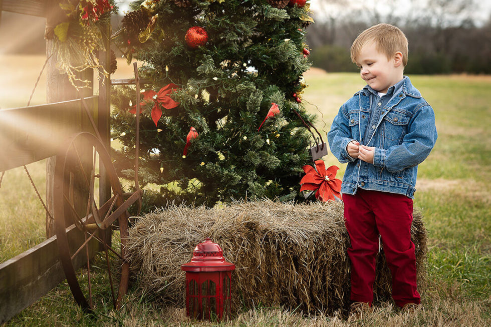 Christmas Fields - South 40 Farm